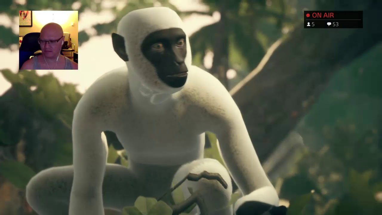 Monkey Bidness - YouTube