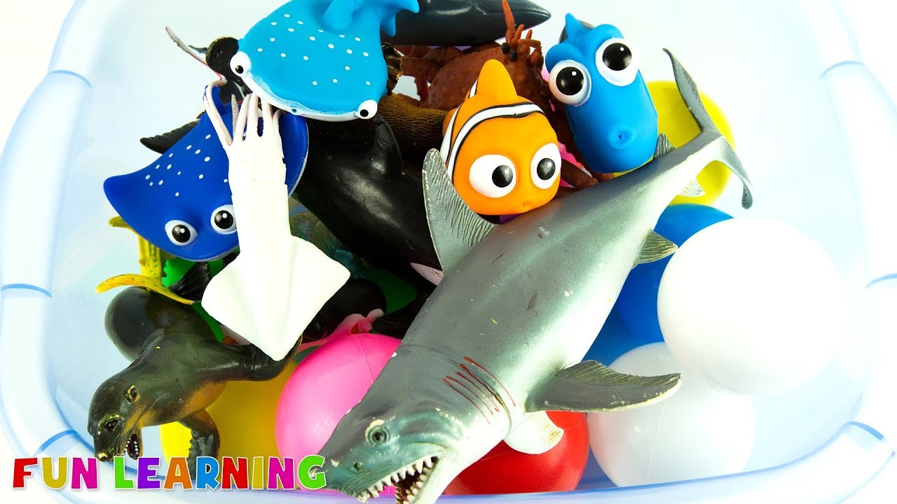Learn Sea Animals Letter Sounds Phonics and Colors with Box Full of ...