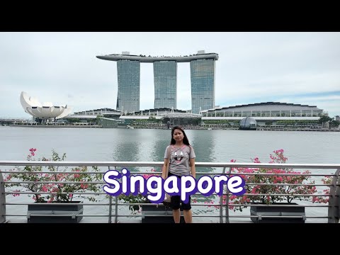 Singapore.D2.P2. Orchard Road+Merlion Park+Gardens by the Bay+OCBC Skyway+Mustafa Centre+Clarke ...