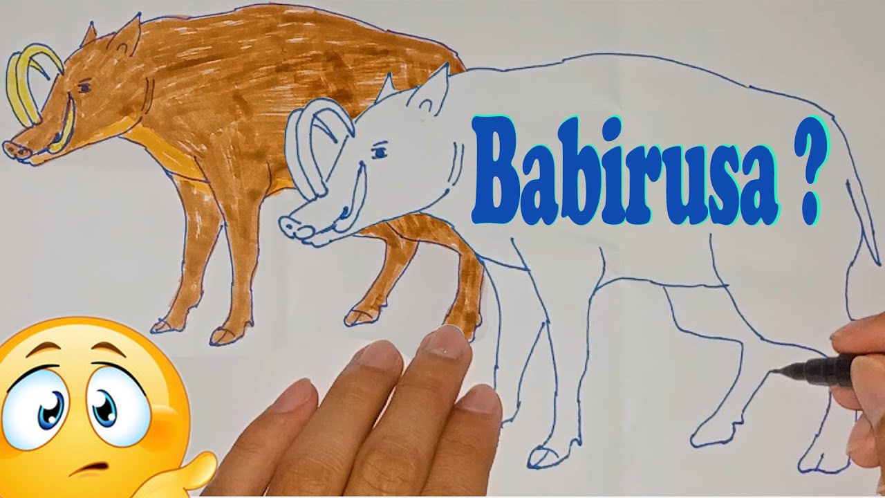 Tutorial - Babirusa Drawings and Coloring - Homemade Drawings - DIY ...