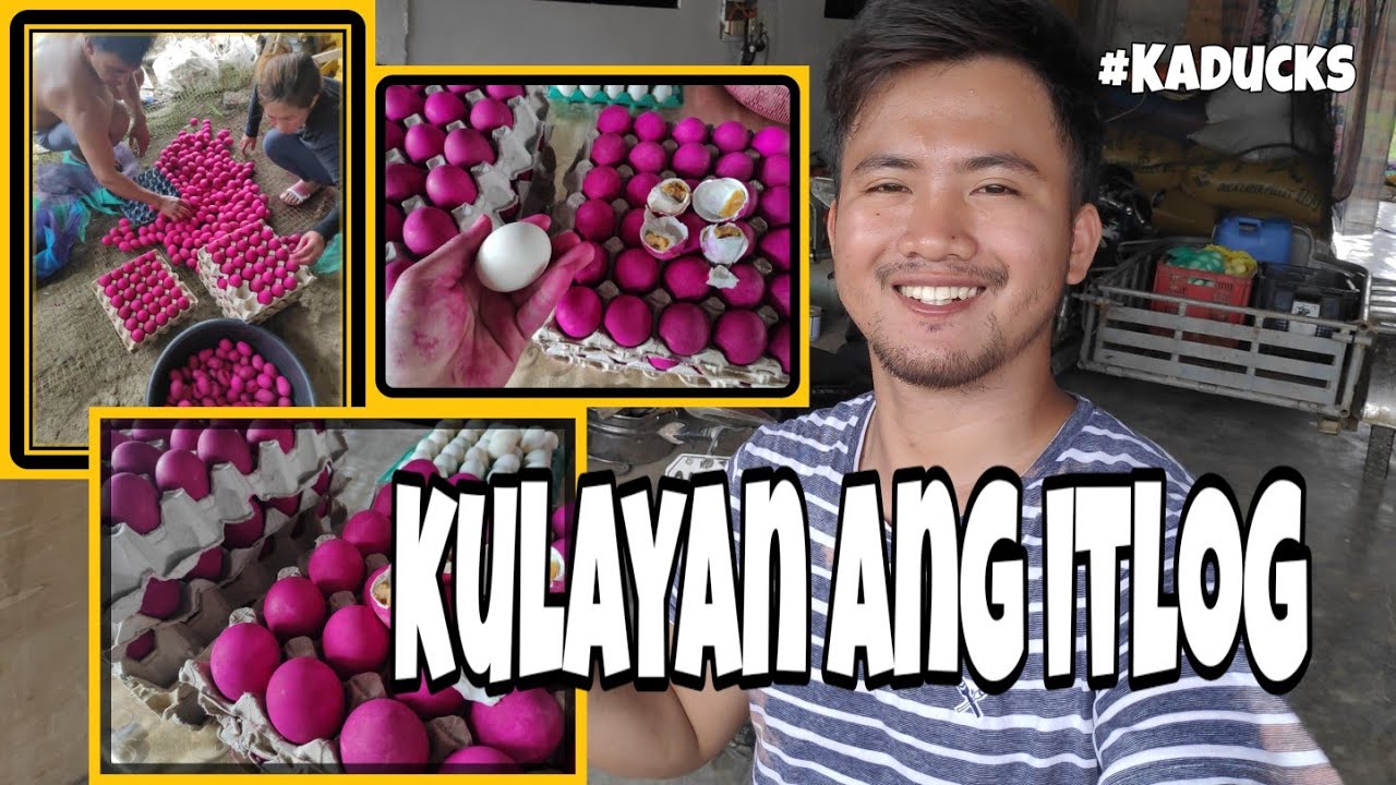 EP27 - HOW TO COLOR SALTED EGG | KULAYAN ANG ITLOG NA PULA duck layer ...