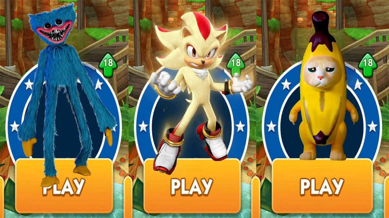 Sonic Dash - MOVIE SUPER SHADOW vs POPPY PLAYTIME HUGGY WUGGY Run vs ...