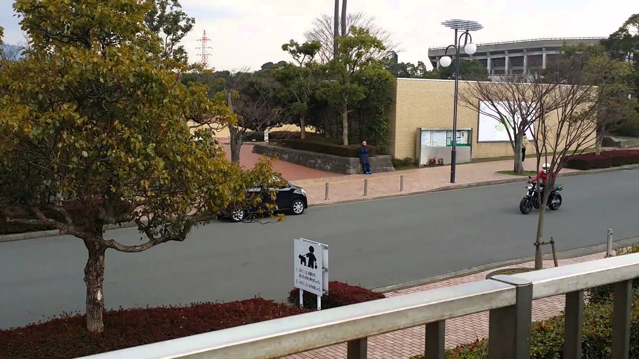 Kawasaki sanctuary RCM Z1 - YouTube