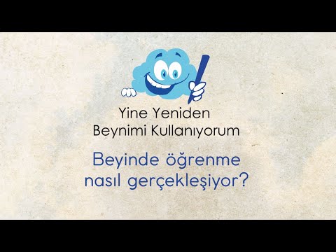 Beyinde öğrenme nasıl gerçekleşiyor? (Uzm. Dr. Metin Yeşiltepe)