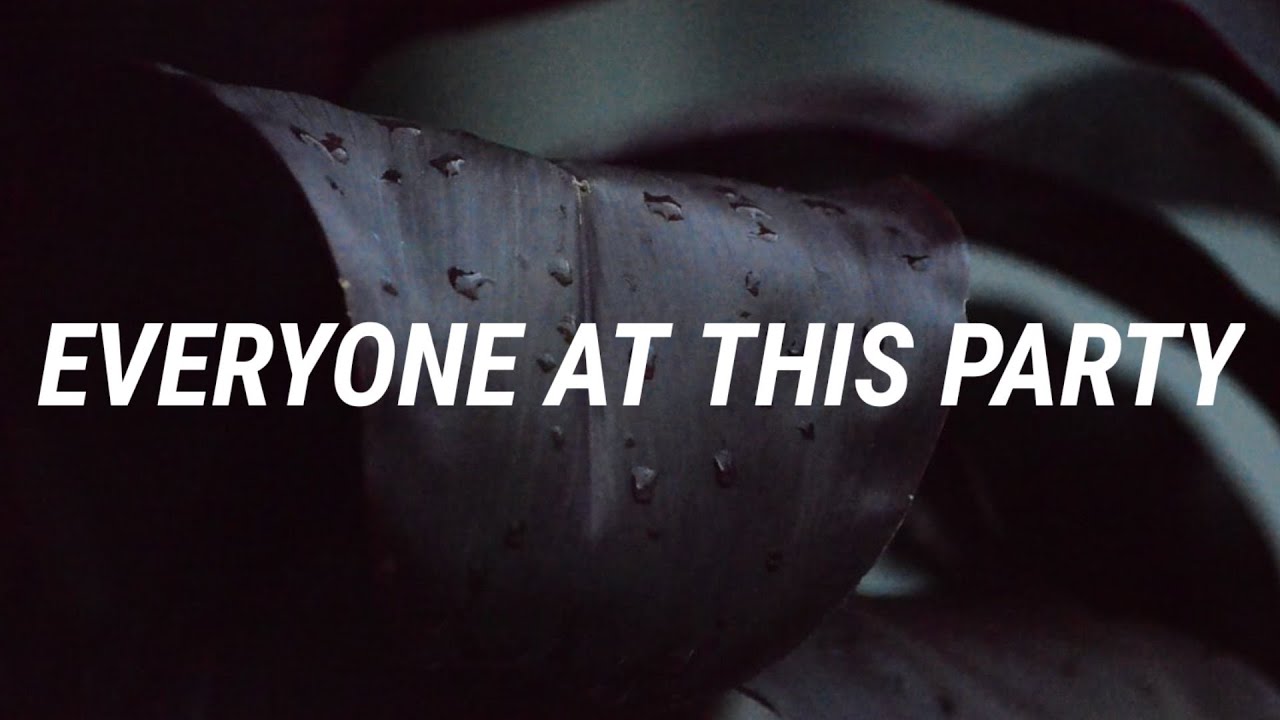 Camila Cabello - everyone at this party (Lyrics) - YouTube