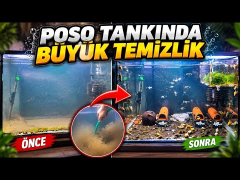 POSO TANKI ÇÖL GİBİYDİ! 😱 Büyük Temizlik, Yeni Filtre ve Yeni Proje!