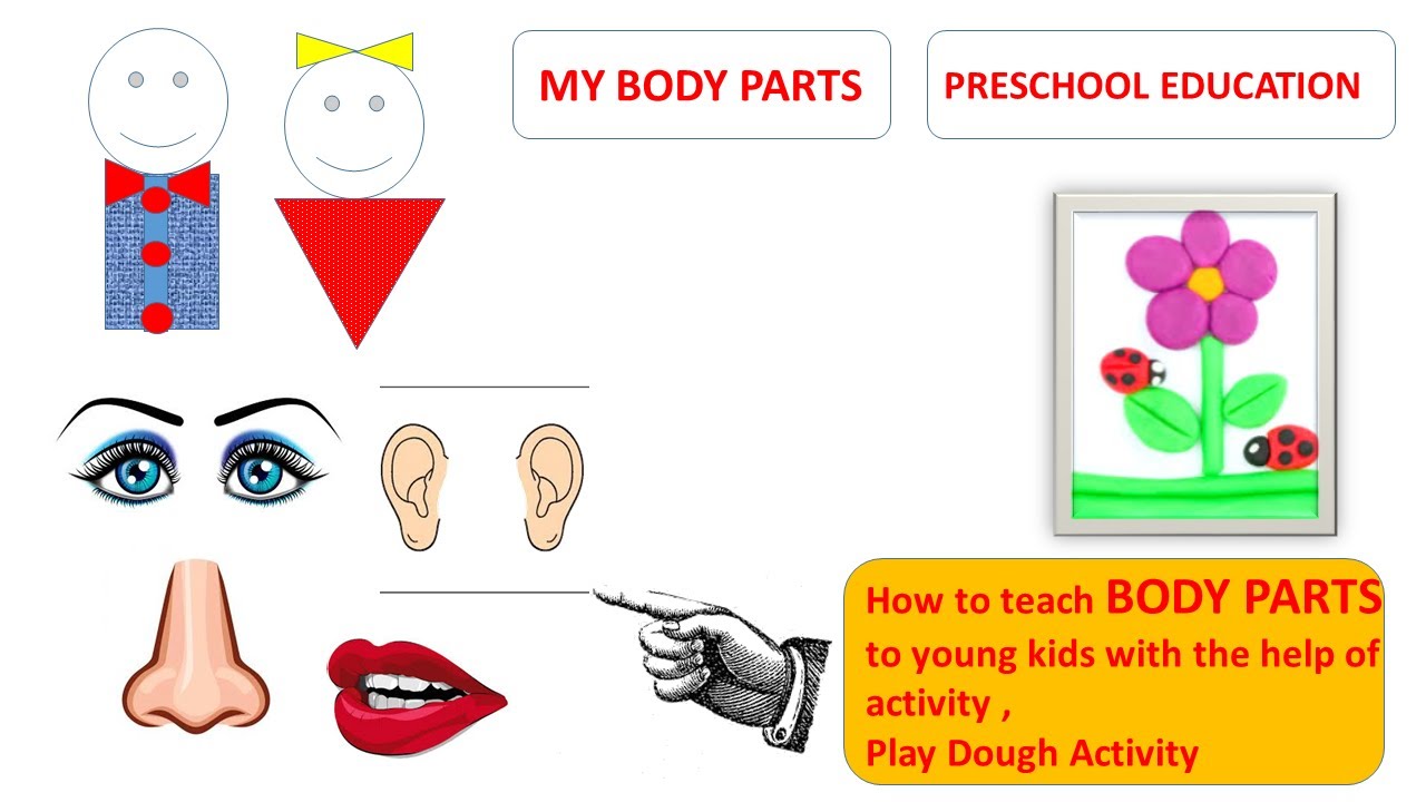 Way to teach Body parts to young ones - YouTube