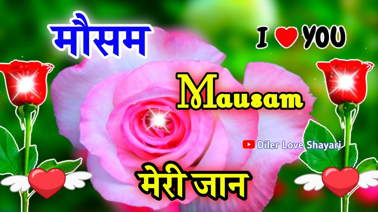 Mausam name status video 🌹Mausam love status 🌹M love you 🌹 Hindi love ...