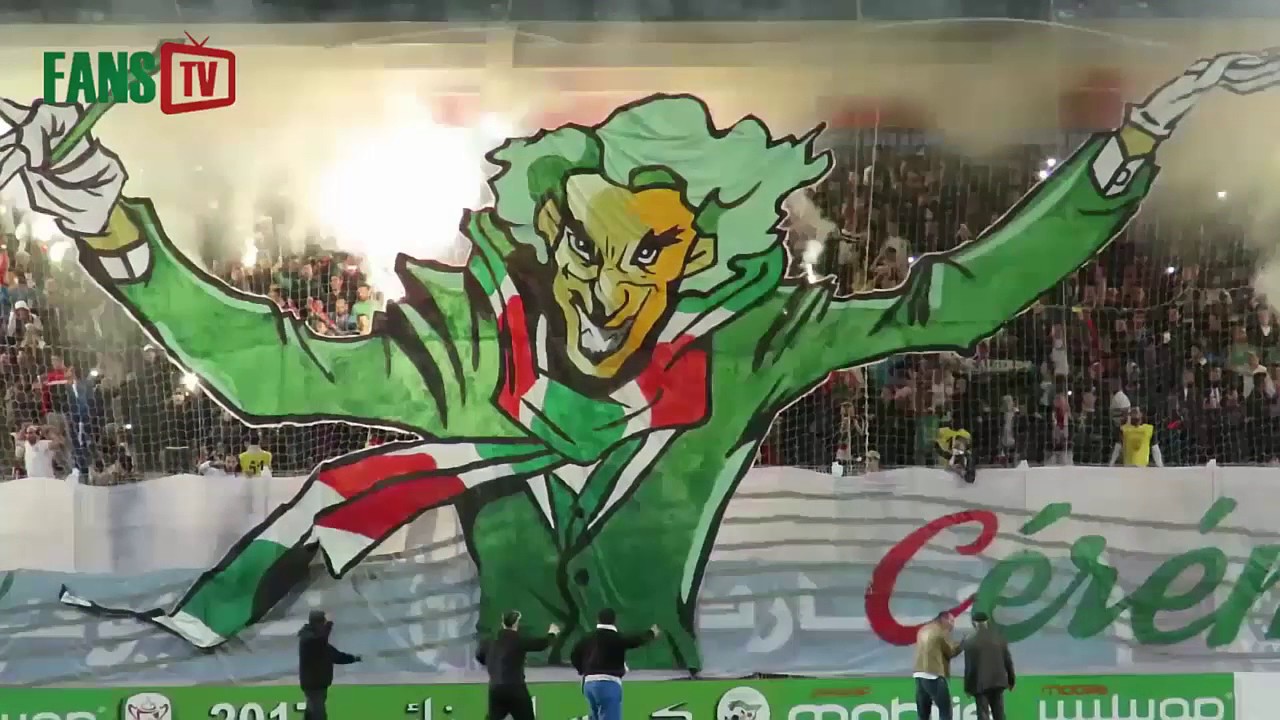 TIFO ULTRAS VERDELEONE (MCA 7-1 USB) / FANS TV - YouTube