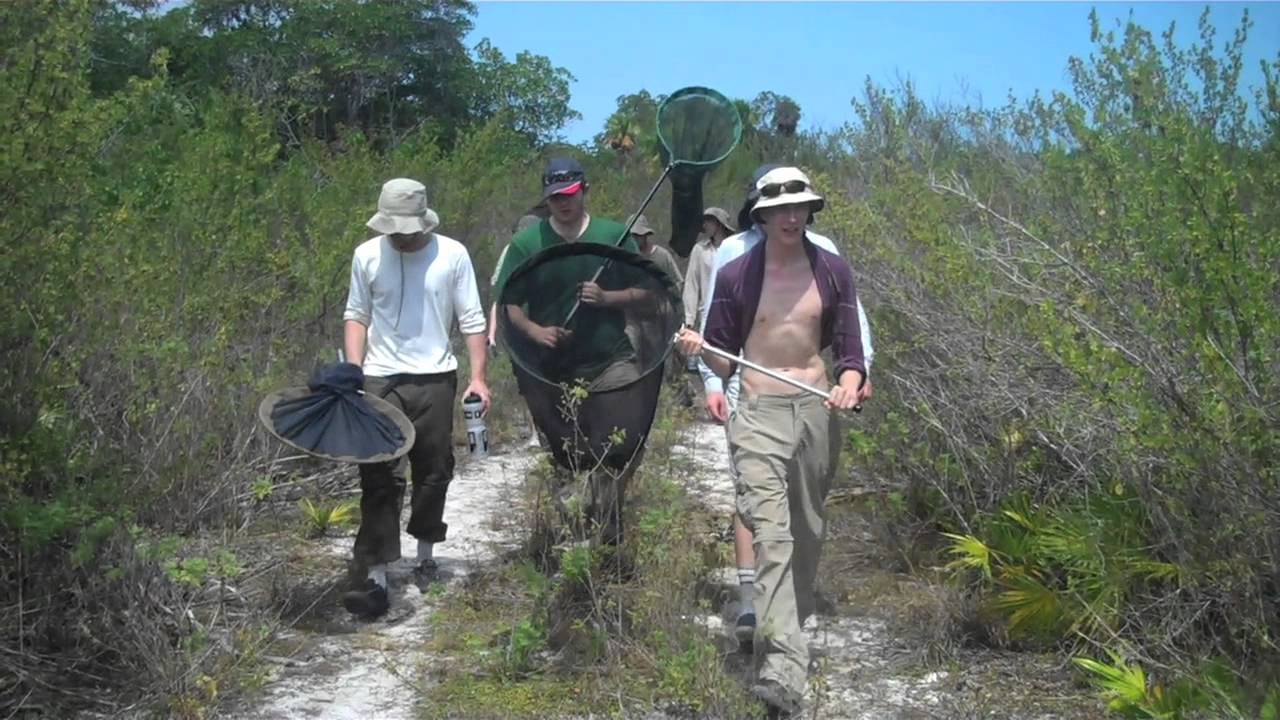 UWE Cuba (HD Edit) - Tropical Forest and Coral Reef Research Expedition ...
