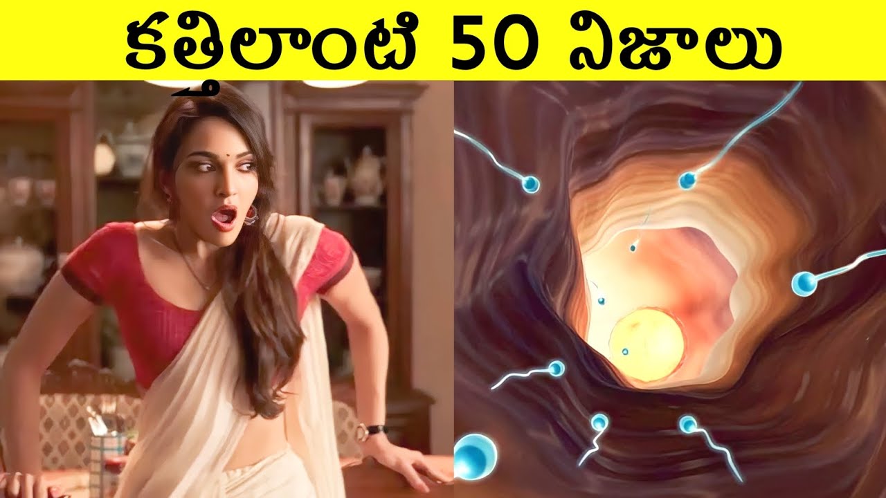 Top 50 Interesting Facts In Telugu Unknown Amazing Facts Telugu top-50-interesting-facts-in-telugu-unknown-amazing-facts-telugu