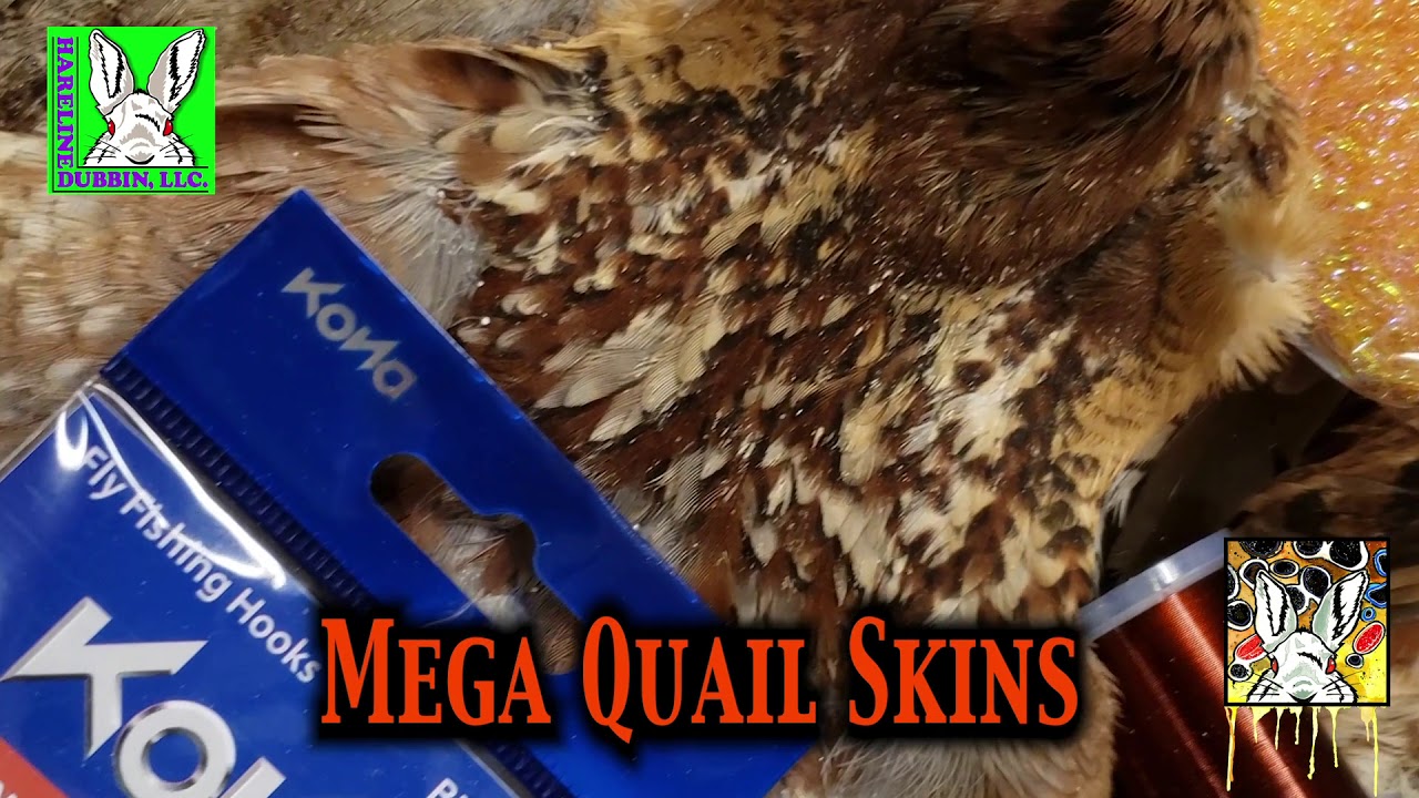 Mega Quail Skins - YouTube