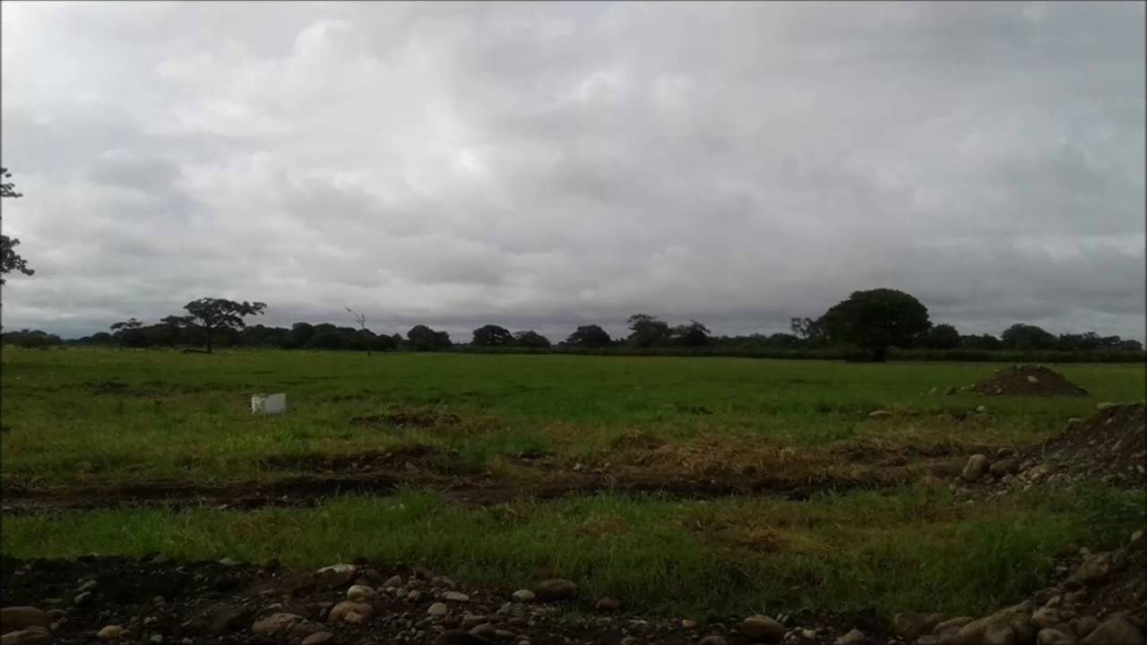 BOSQUES DE ACHAGUA - YouTube