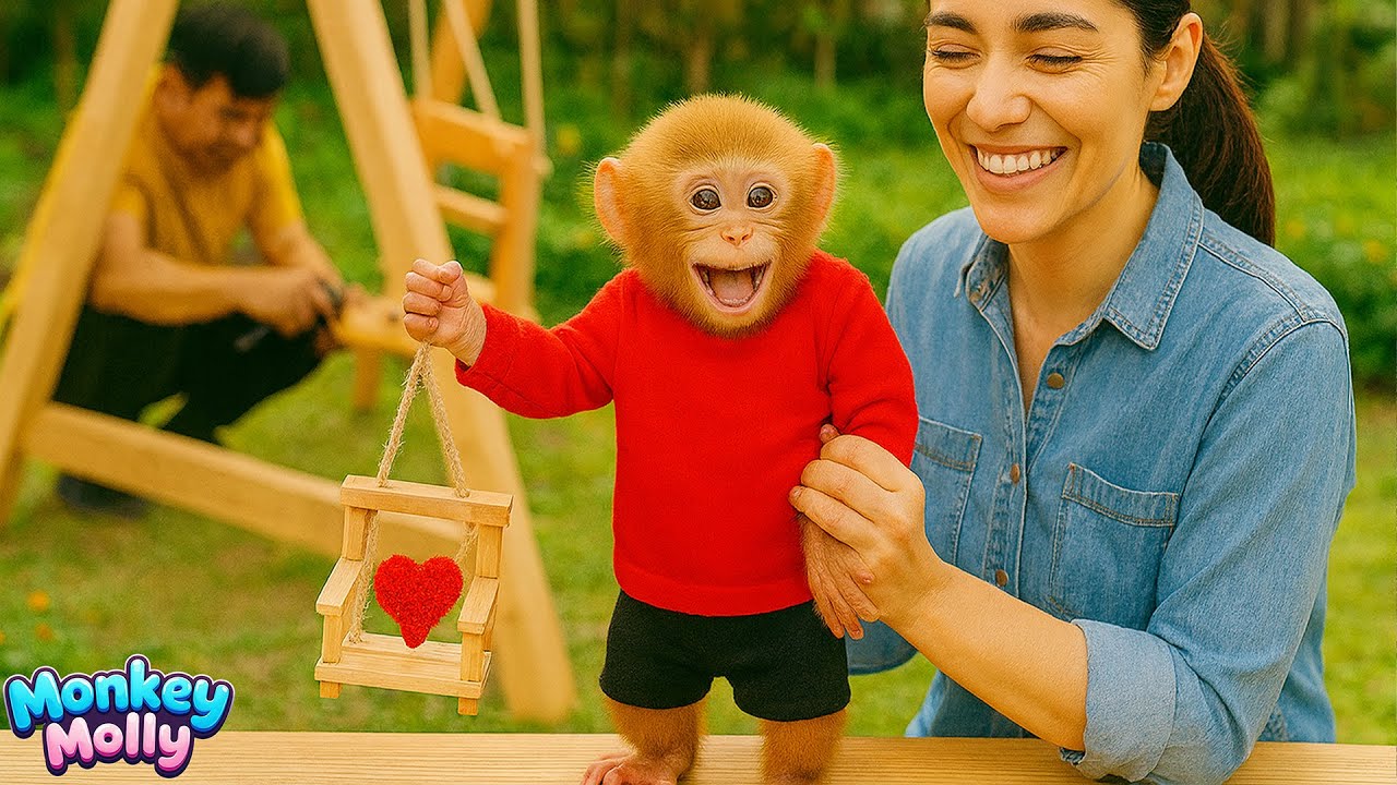A Heartwarming Week: Monkey Molly enjoys meaningful gifts from her ...