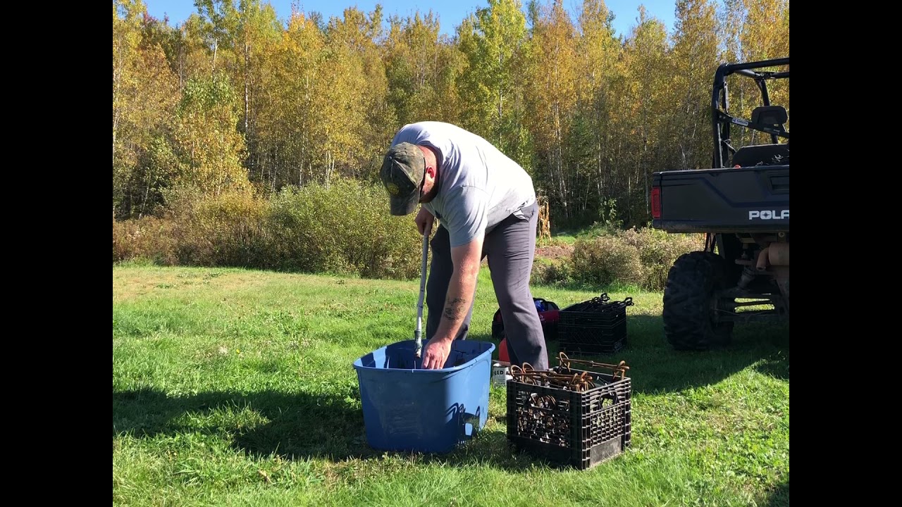 How to dye traps using Speed Dip! - YouTube