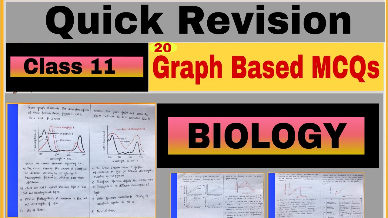 20 Graph Based MCQs // Class 11// Biology // CBSE - YouTube