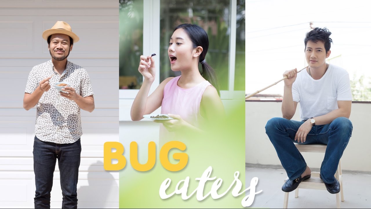 Bug Eaters - YouTube