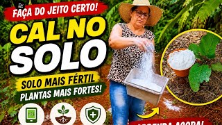 🟢How to Use LIME on Plants 🌱 Benefits, Precautions, and Mistakes to Avoid! @vidanocampojs