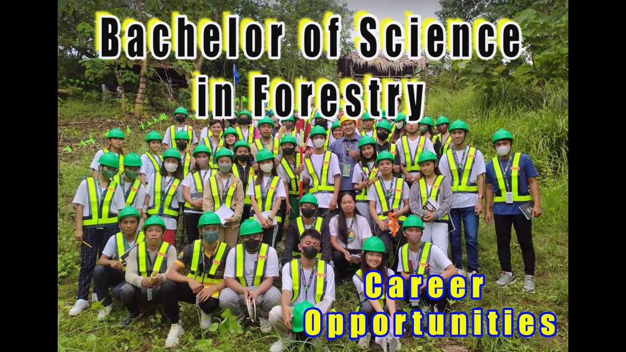 Bachelor of Science in Forestry || Career Tips #nature #education # ...