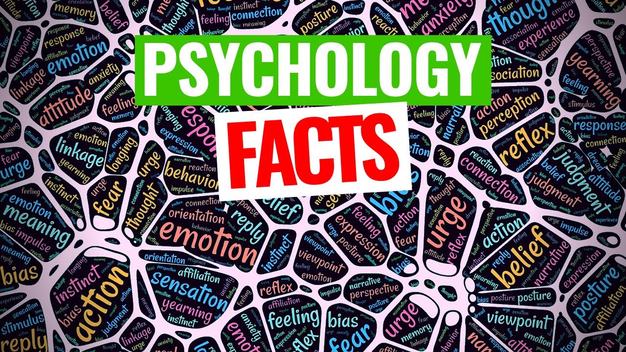 Psychology Facts You Need to Know. Interesting Psychological Facts That ...