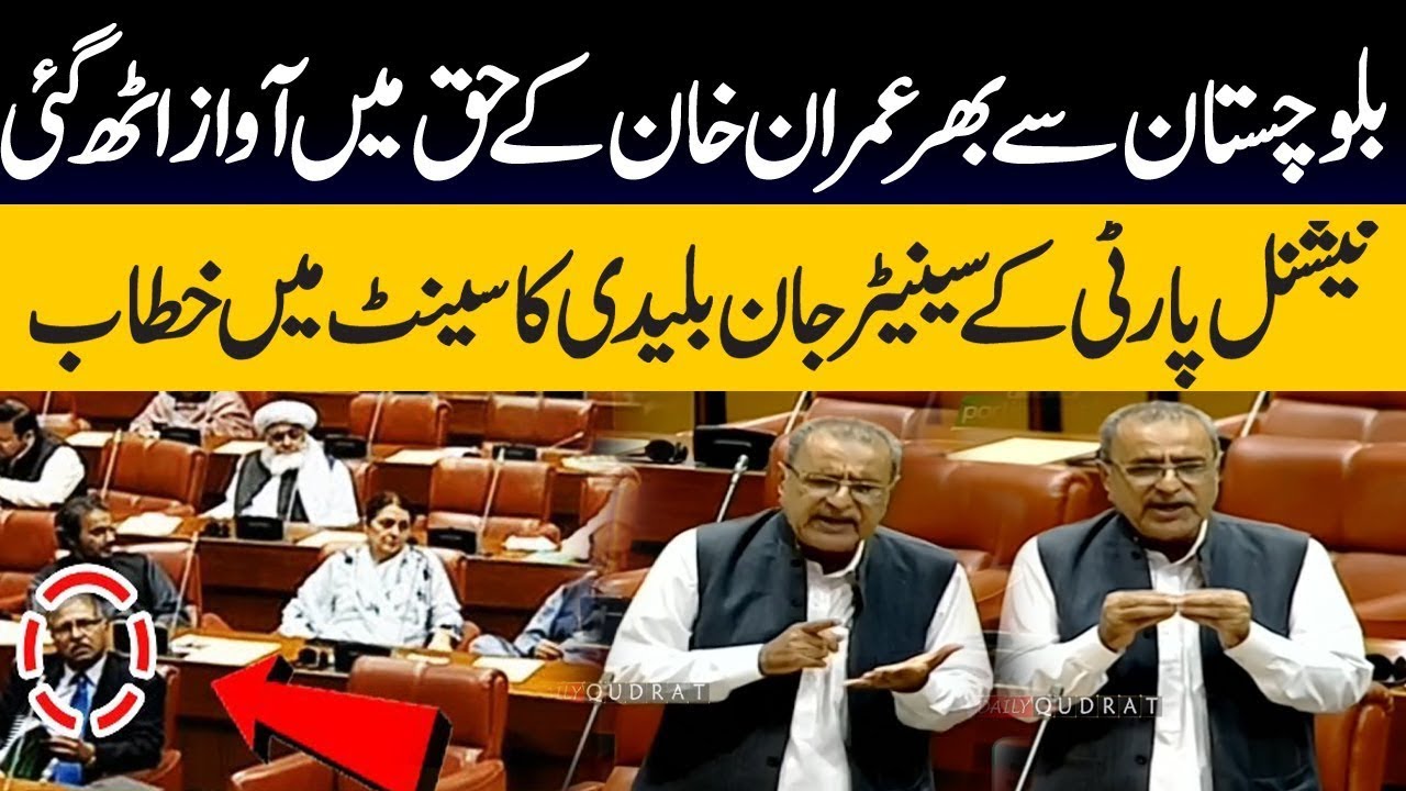 National Party Senator Jan Buladi important speech in senate about ...