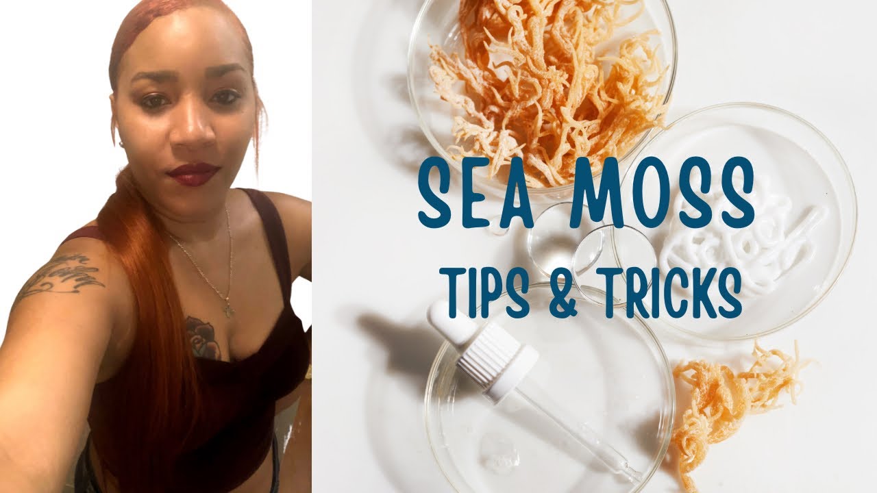 Sea Moss Tips & Tricks! - YouTube