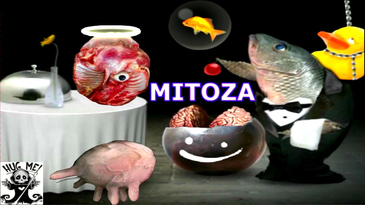 LET'S GO IN TO MADNESS | Mitoza (Flash Game) - YouTube