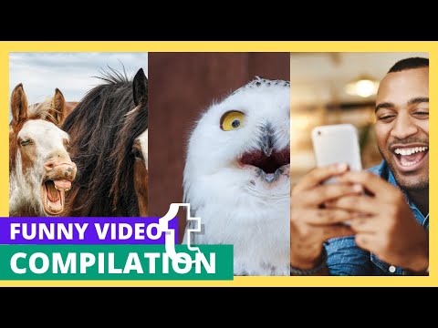 Laugh Till the End: TikTok Funny Video Compilation Bliss! #TikTokLaughs #FunnyVideoCompilation