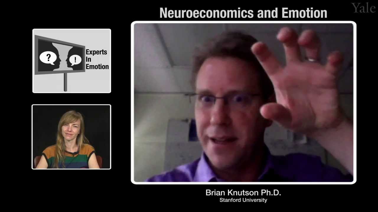 Experts in Emotion 13.3 -- Brian Knutson on Neuroeconomics and Emotion ...