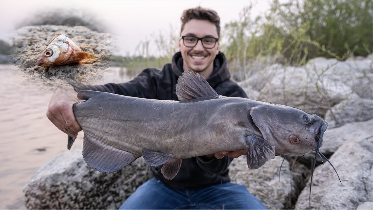 We're BACK and Catching Catfish on the Red River! - YouTube