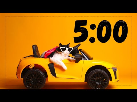 😺 5-Minute Cool Cat Driving Timer | Fun Classroom Countdown for Kids ...