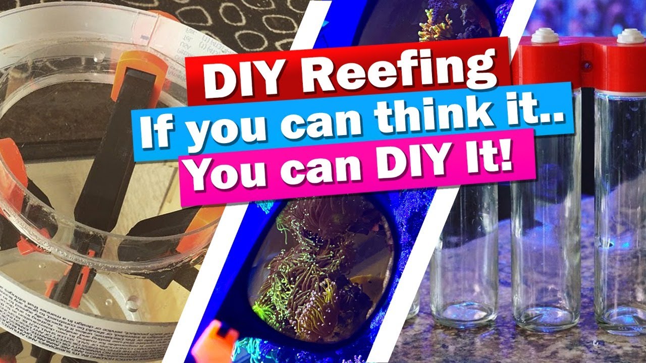 DIY Reefing! If you can think it.. you can probably build it! - YouTube