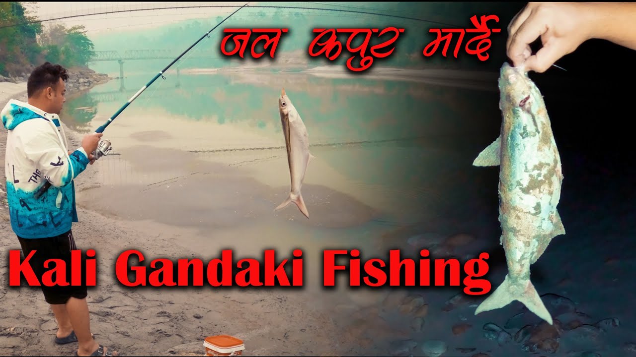 चापाकाेट कालीगणडकी मा माछा मार्दै | Fishing in Kaligandaki | The best ...