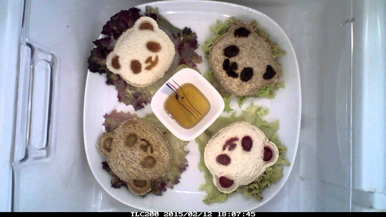 Panda Sandwiches - Time Lapse - Nasty Version - YouTube
