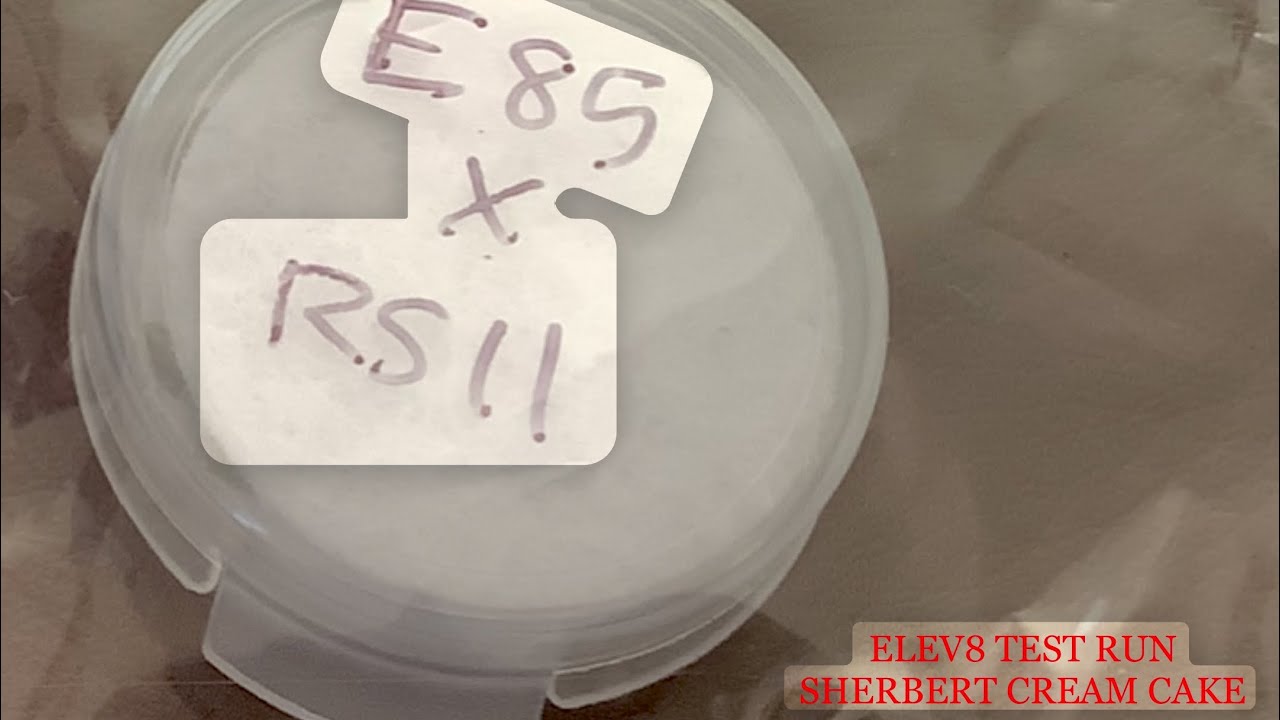 ELEV8 TEST RUN SHERBET CREAM CAKE PART 1 plus clone update - YouTube