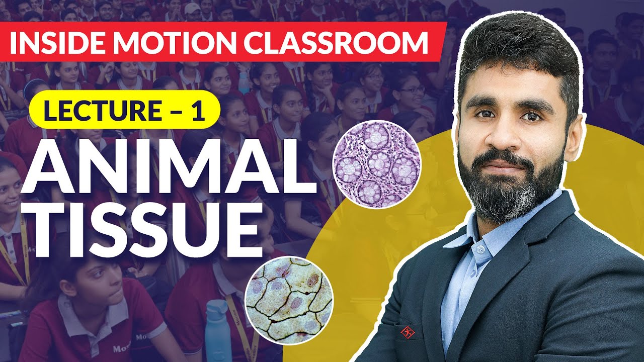 Lecture 1 | Animal Tissues | Dr. Ankit Chippi ( AC Sir ) | Inside ...