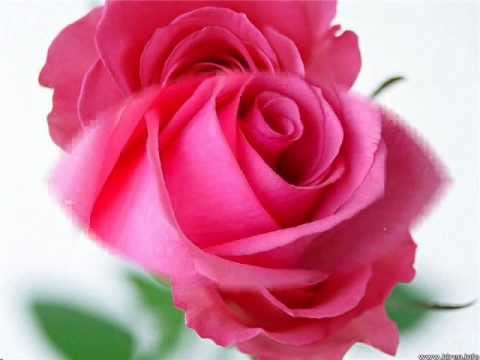 HANİ O BIRAKIP GİDERKEN SENİ.wmv