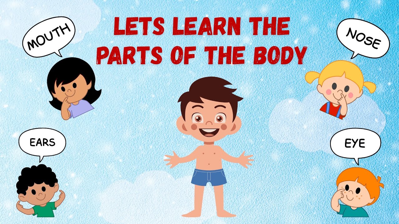 Parts of the Body Quiz for Kids | Body Parts Quiz | Learn Body Parts ...