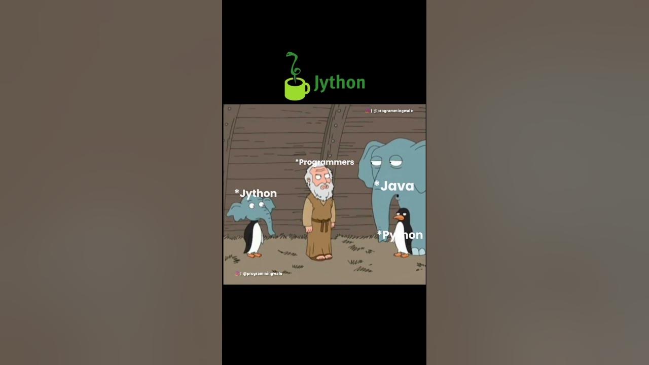 Java Python Jython 😁 Python Java Funny Coder Codinglover