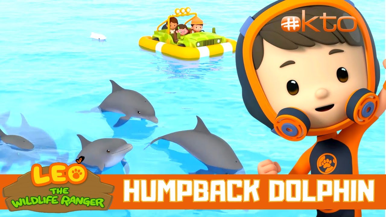 The DOLPHIN is caught in the fishing net! | Leo the Wildlife Ranger ...