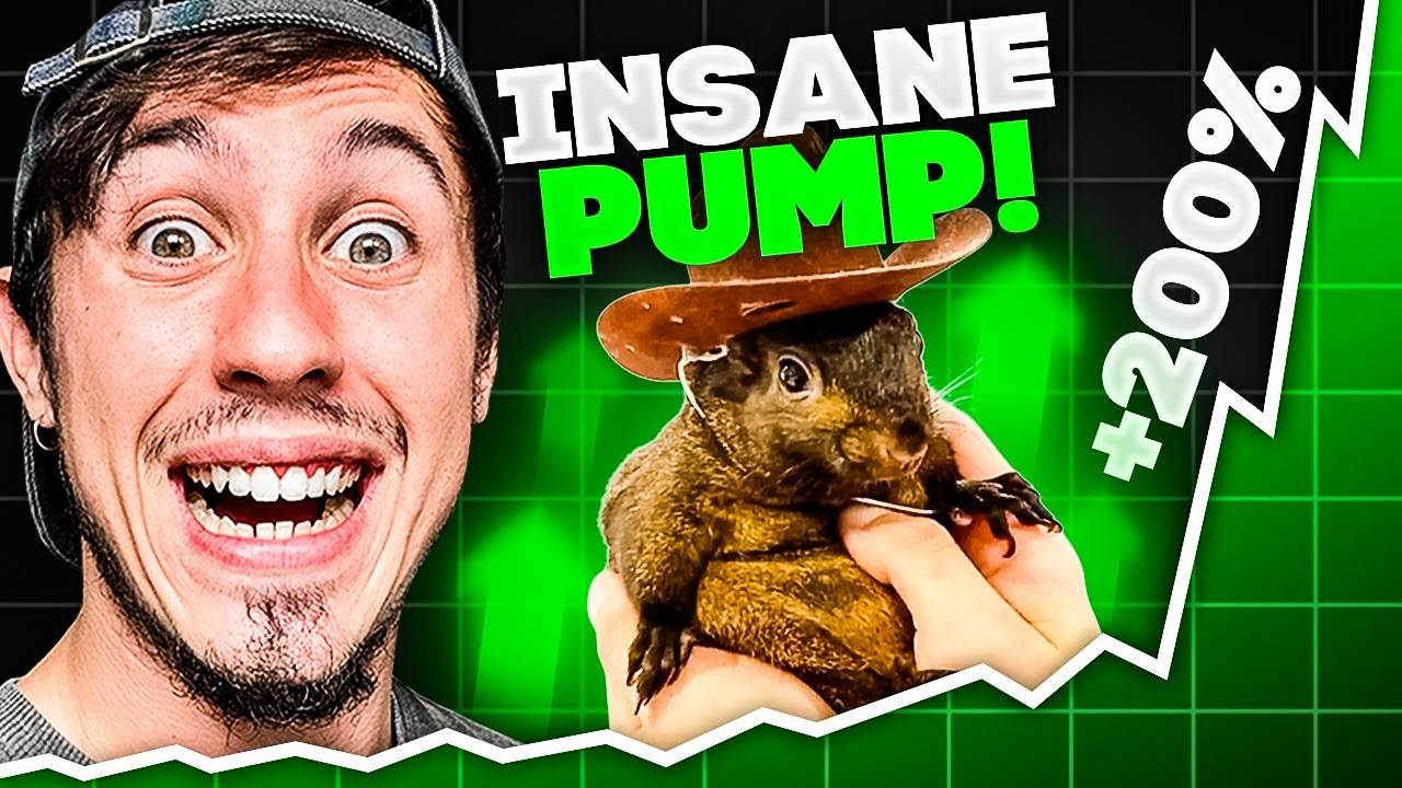 Peanut The Squirrel $PNUT Crypto Price Prediction INSANE PUMP!!! - YouTube
