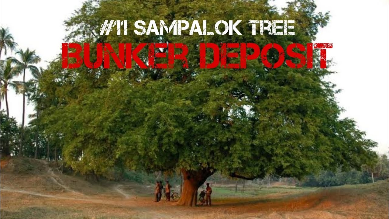 #11 Sampalok tree bunker deposit... - YouTube