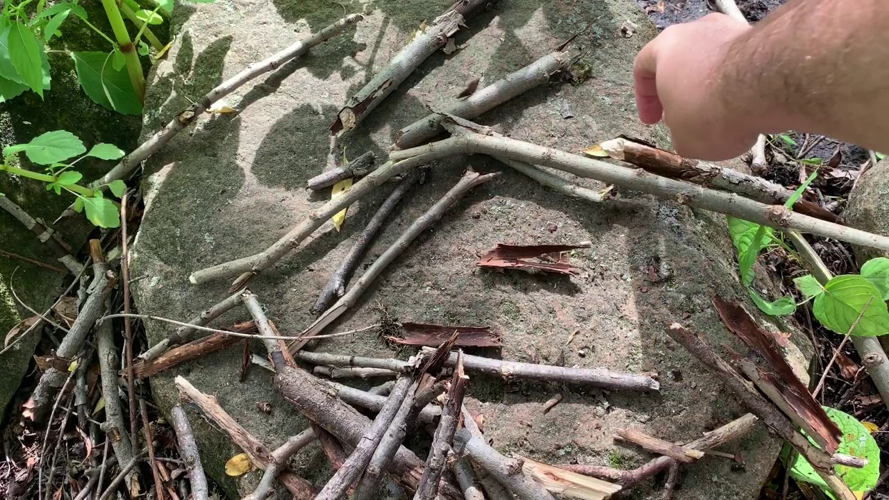 5 Minute Life Calming Relaxing Breaking Sticks Sounds Outdoors - YouTube