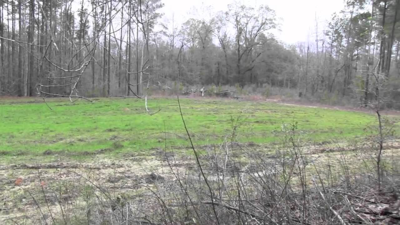 Alabama Deer Hunting - YouTube