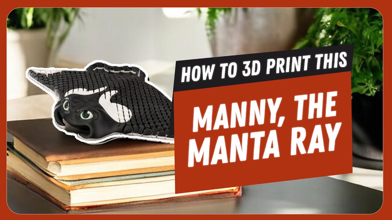 How to slice: Manny, the Manta Ray - YouTube