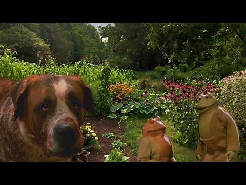 Cujo learns about the garden - YouTube