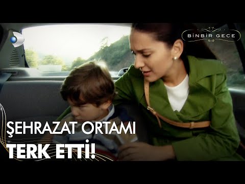 Şehrazat bu terbiyesizliğe kayıtsız kalmadı! #BinbirGece 36. Bölüm