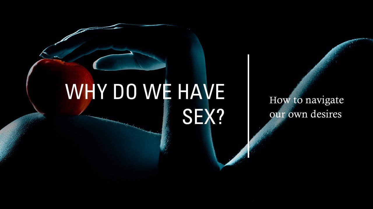 Why Do We Have Sex Youtube