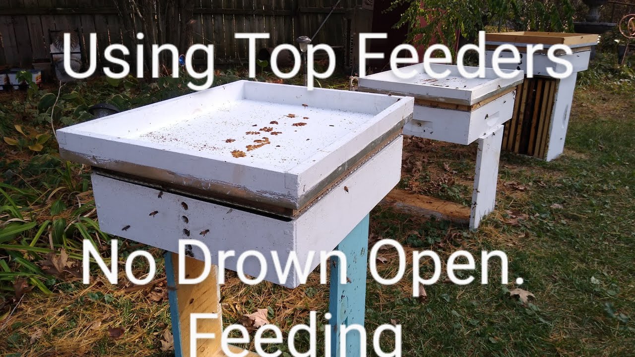 Use Top Feeders For No Drown Open Feed - YouTube