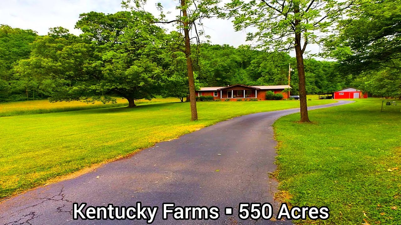 Kentucky Farms For Sale | $649k | 550 Acres | Kentucky Land For Sale ...